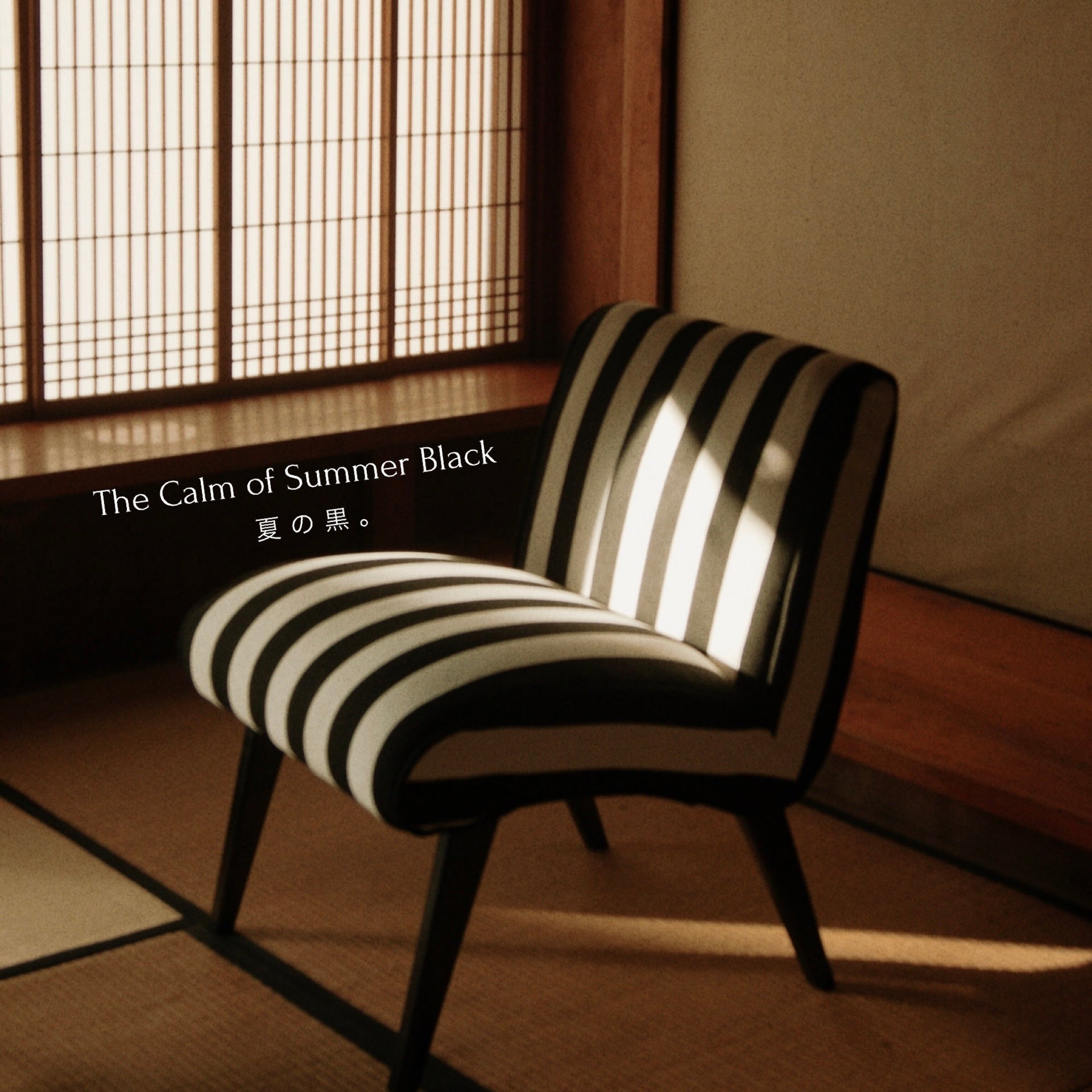 The Calm of Summer Black - 夏の黒-N2 interior